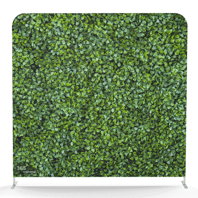 backdrop ideas – 365backdrop