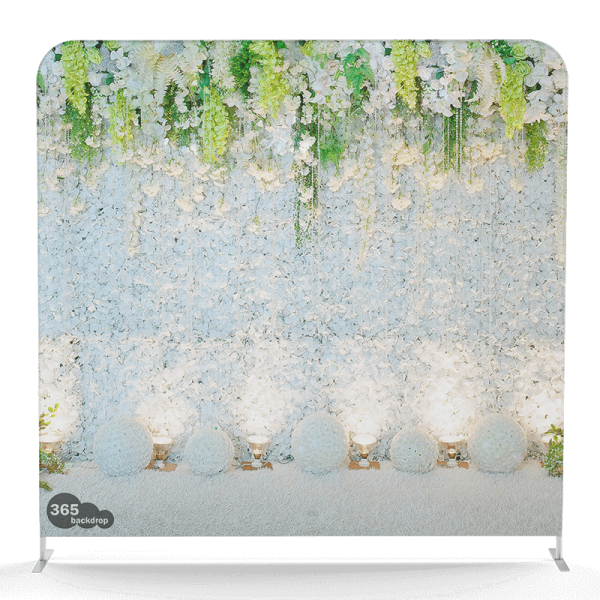 backdrop ideas – 365backdrop